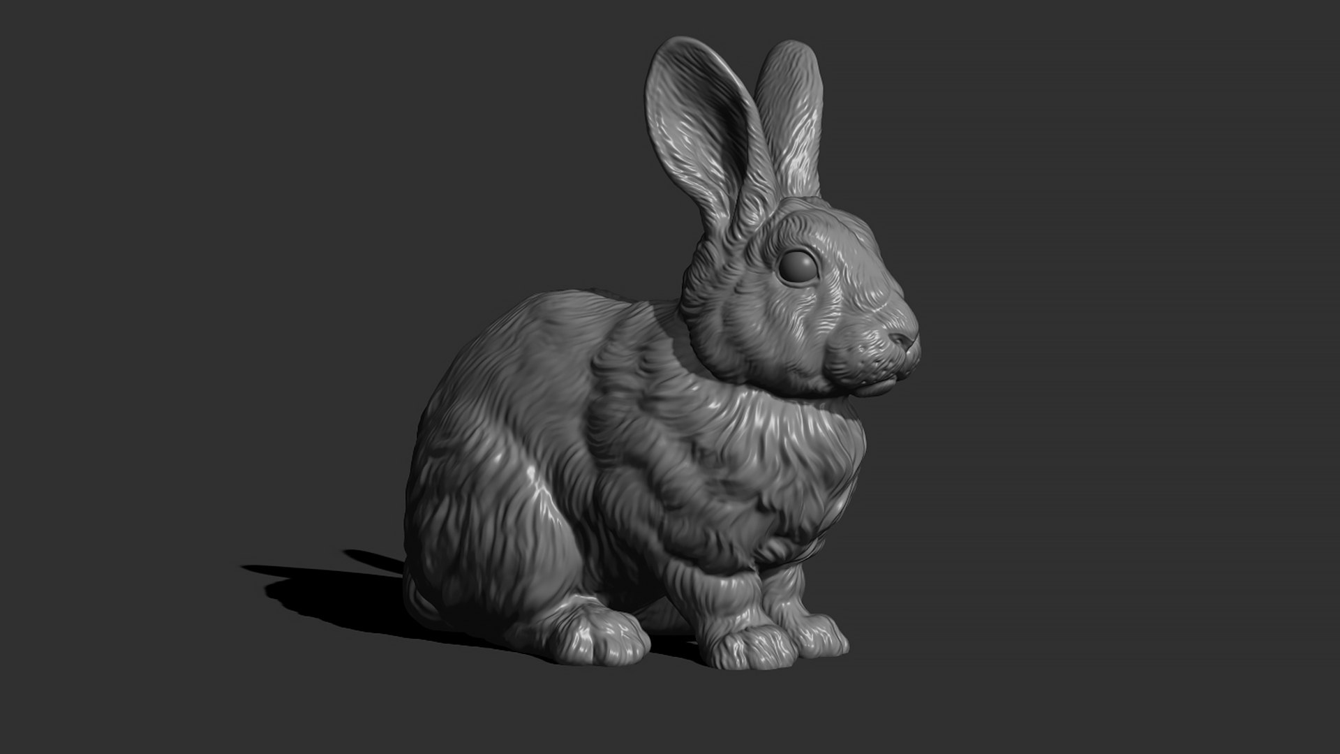 3D model Bunny - TurboSquid 1956636
