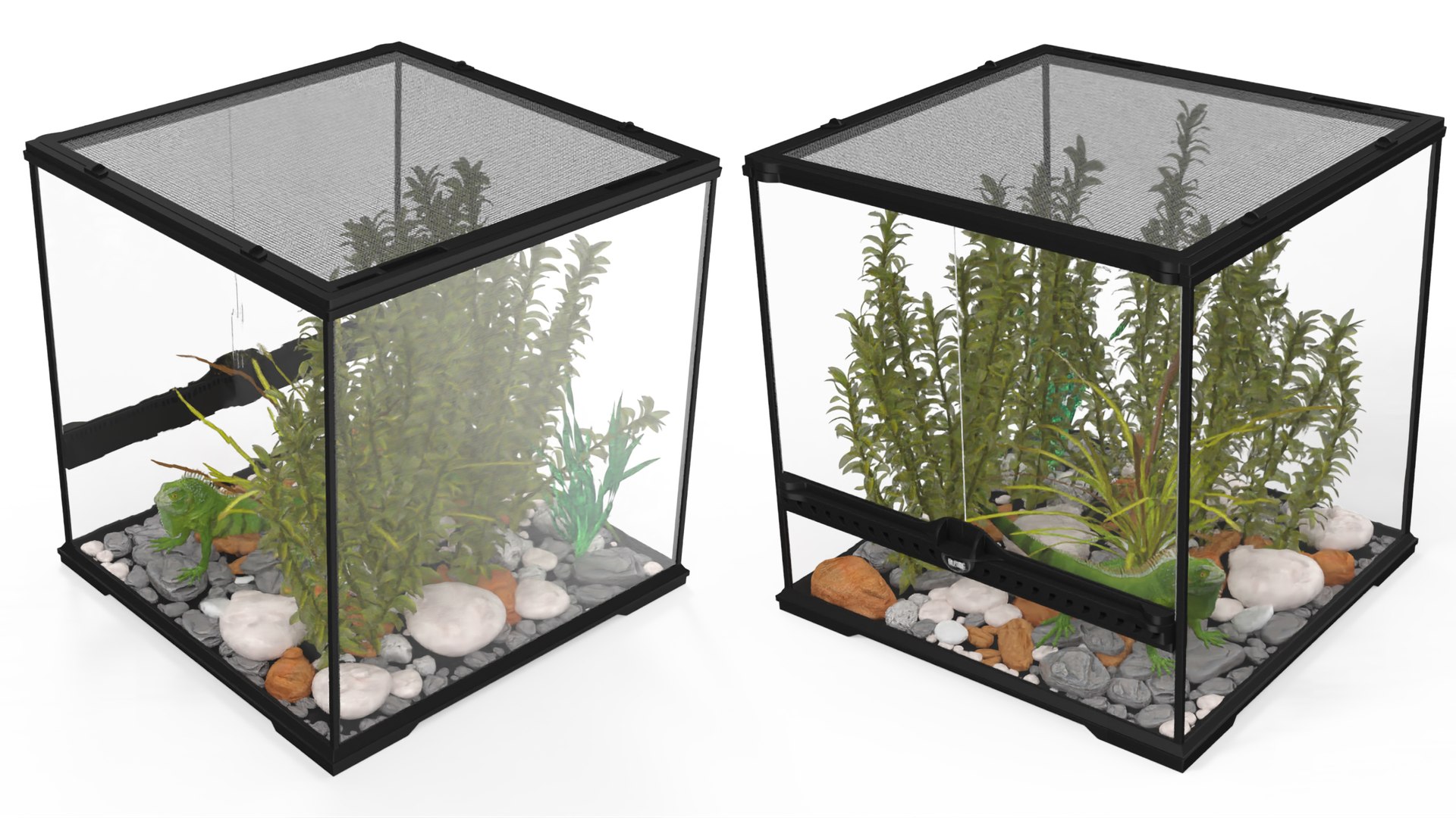 Small Cubic Terrarium with Plants and Iguana model - TurboSquid 2146440