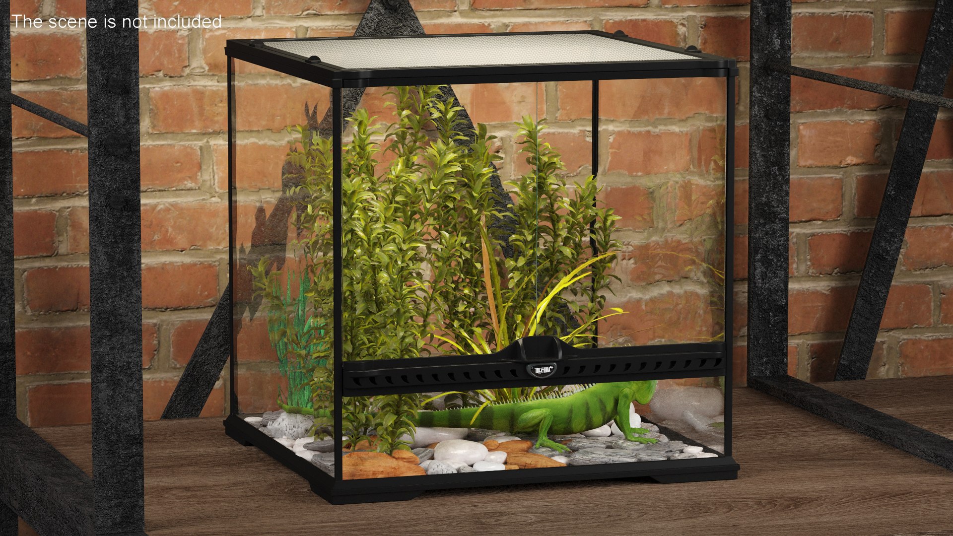 Small Cubic Terrarium with Plants and Iguana model - TurboSquid 2146440