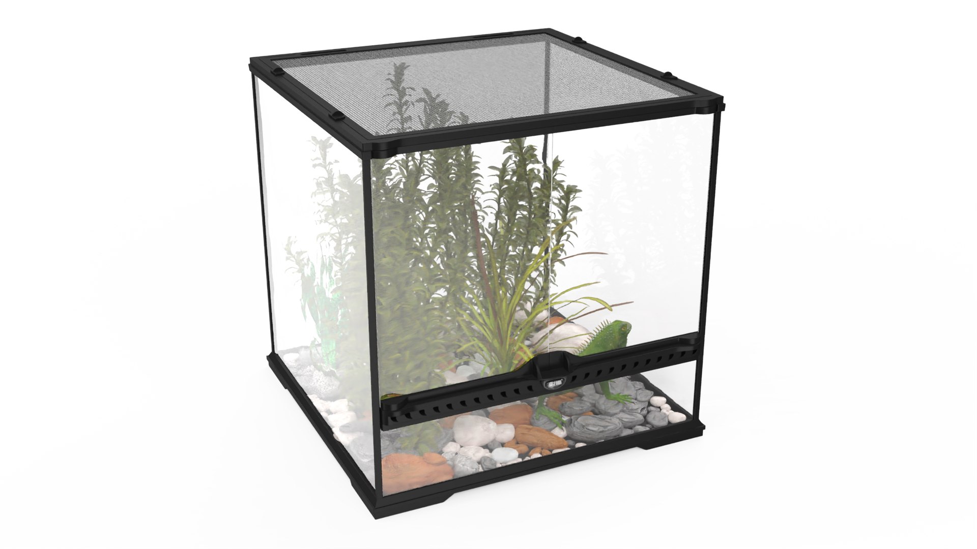Small Cubic Terrarium with Plants and Iguana model - TurboSquid 2146440