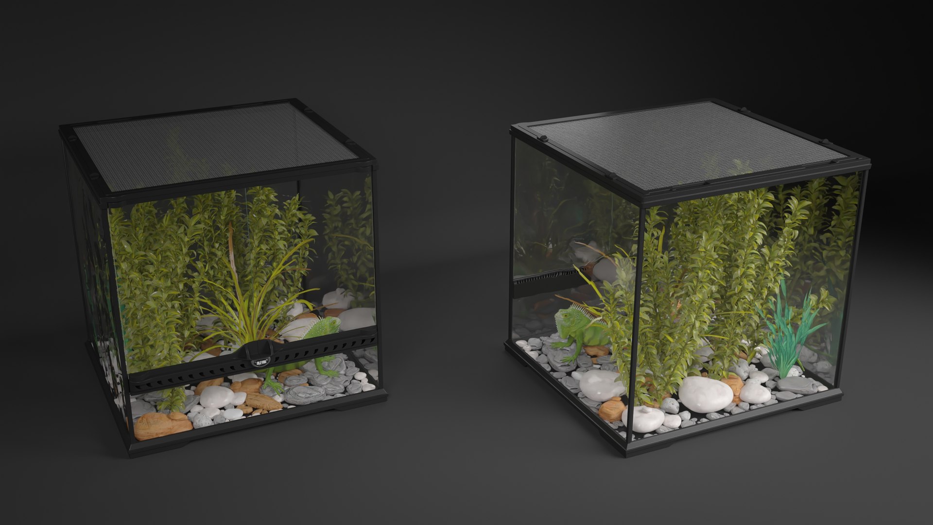 Small Cubic Terrarium with Plants and Iguana model - TurboSquid 2146440