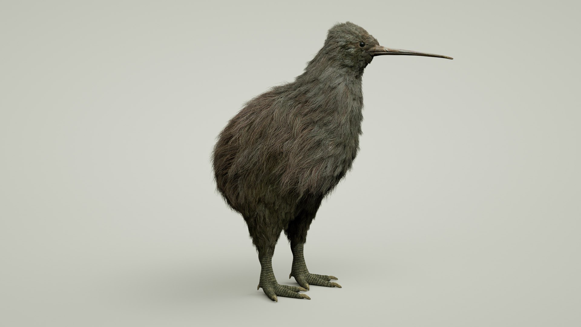 Kiwi 3D - TurboSquid 2180963