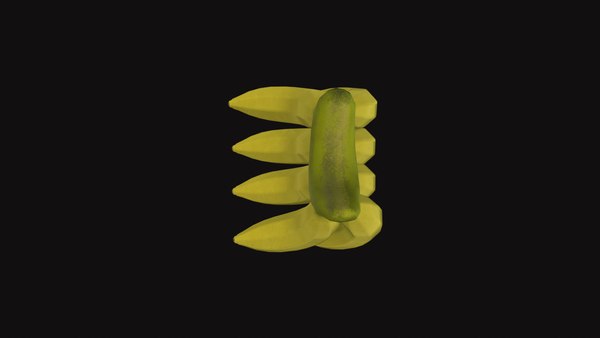 modelo 3d Plátano medieval - TurboSquid 2310274