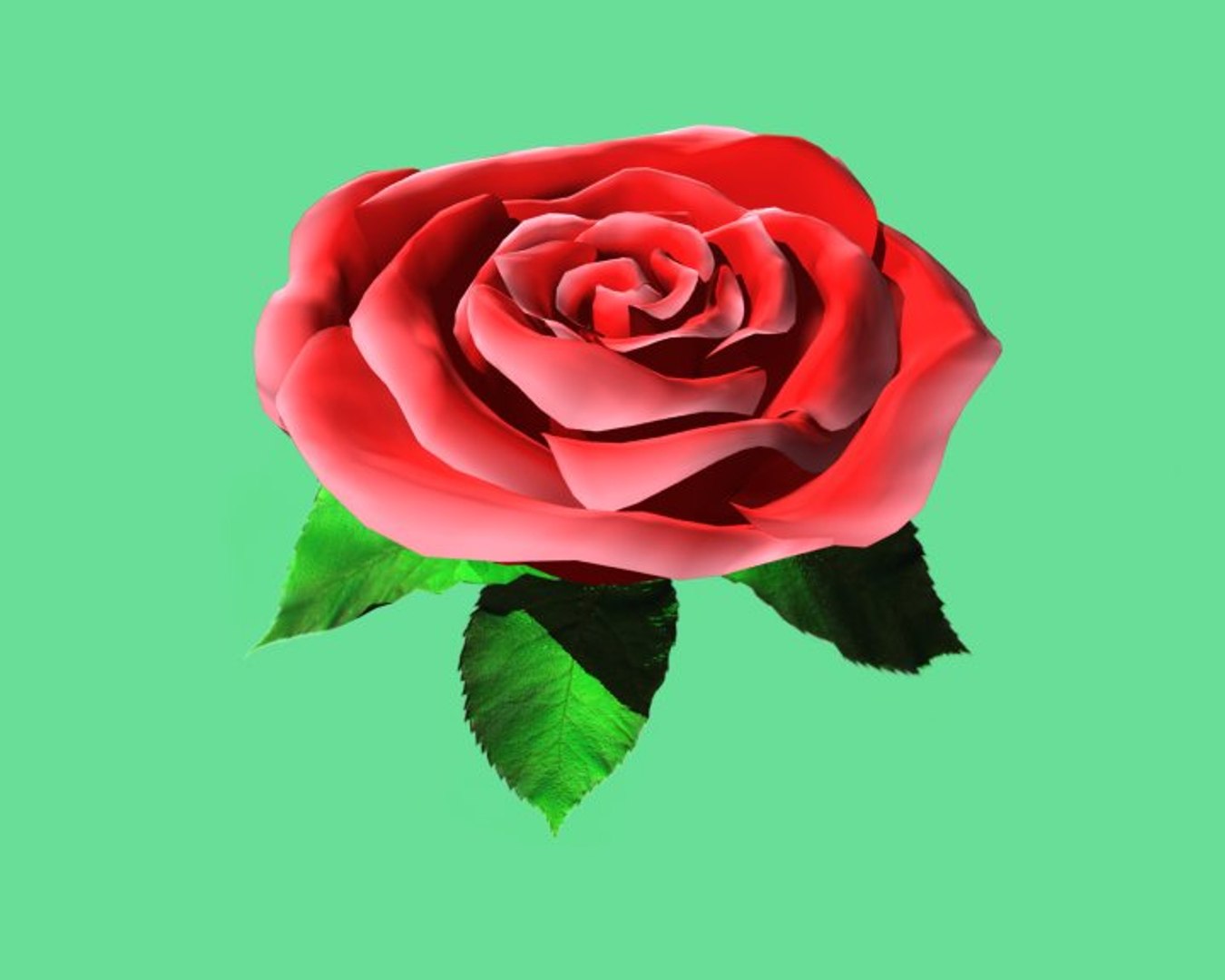 rose flower 3d max