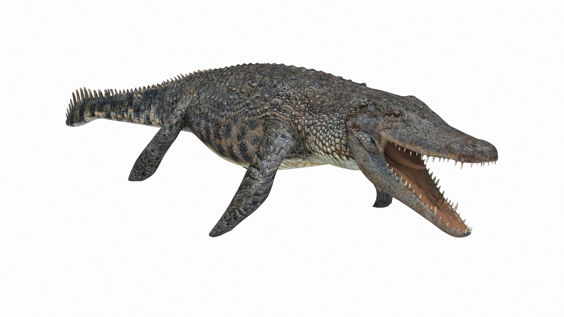 3D Mosasaurus Rex - 8K Animated - TurboSquid 2005790