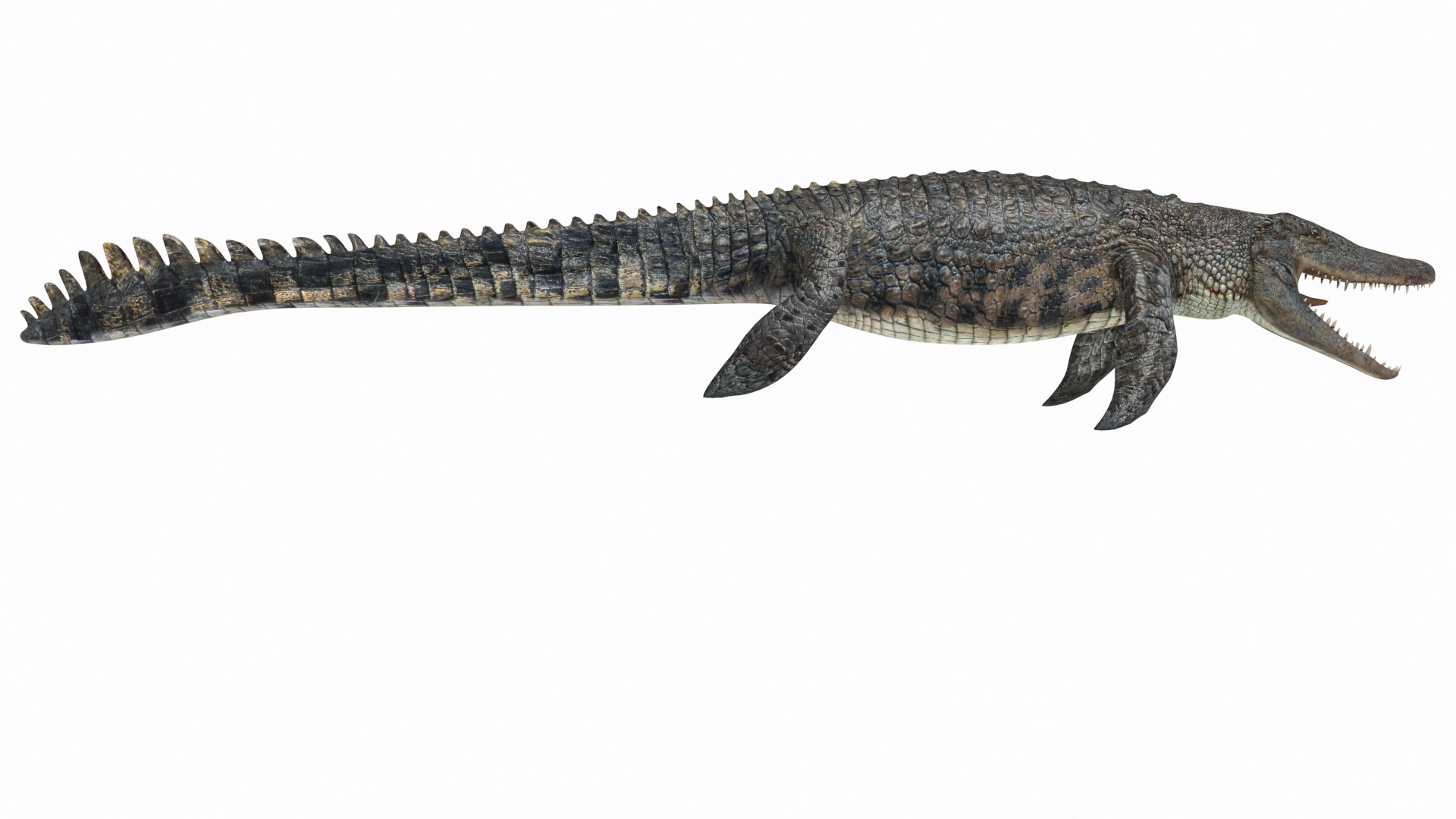 3D Mosasaurus Rex - 8K Animated - TurboSquid 2005790