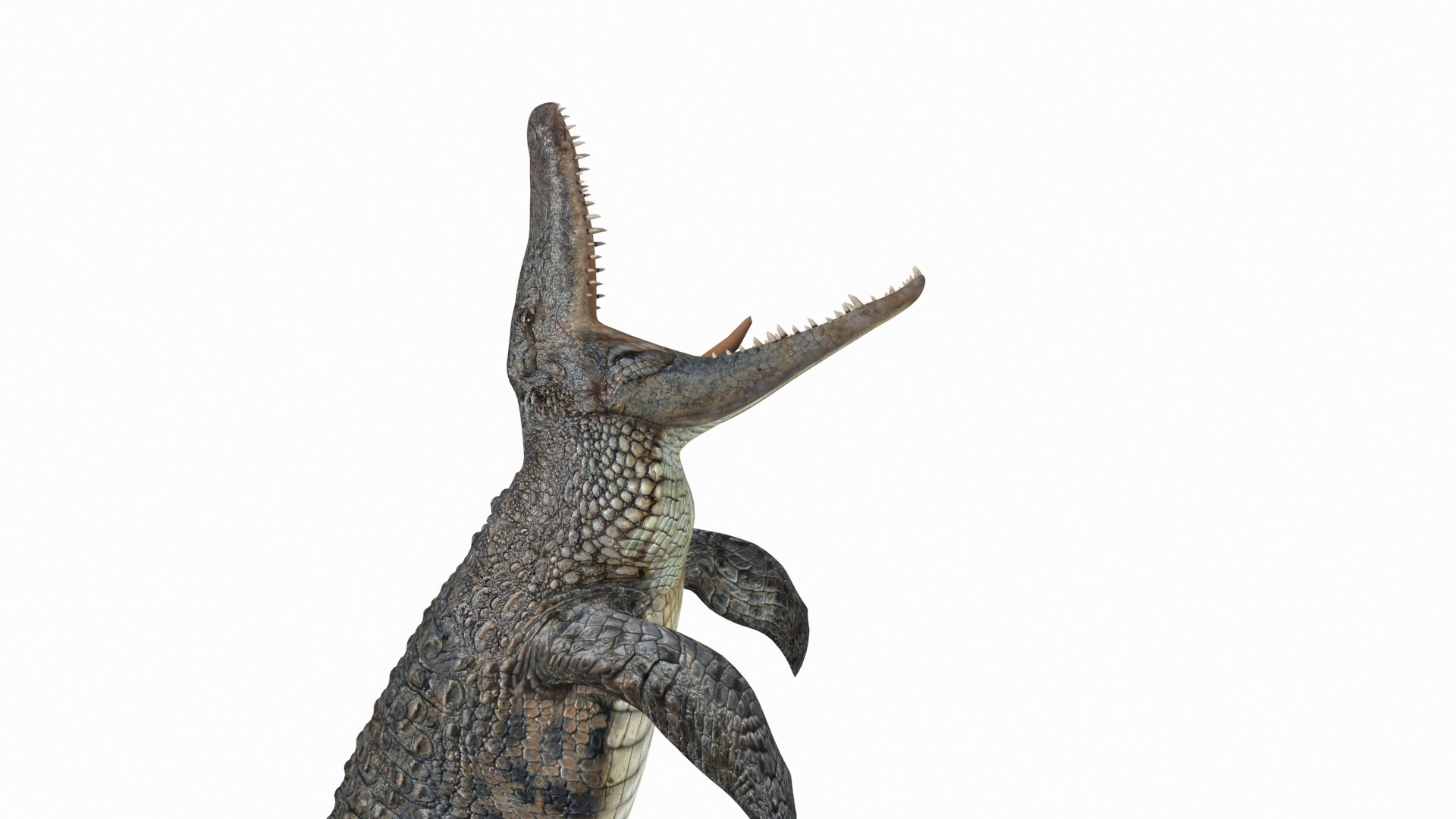 3D Mosasaurus Rex - 8K Animated - TurboSquid 2005790