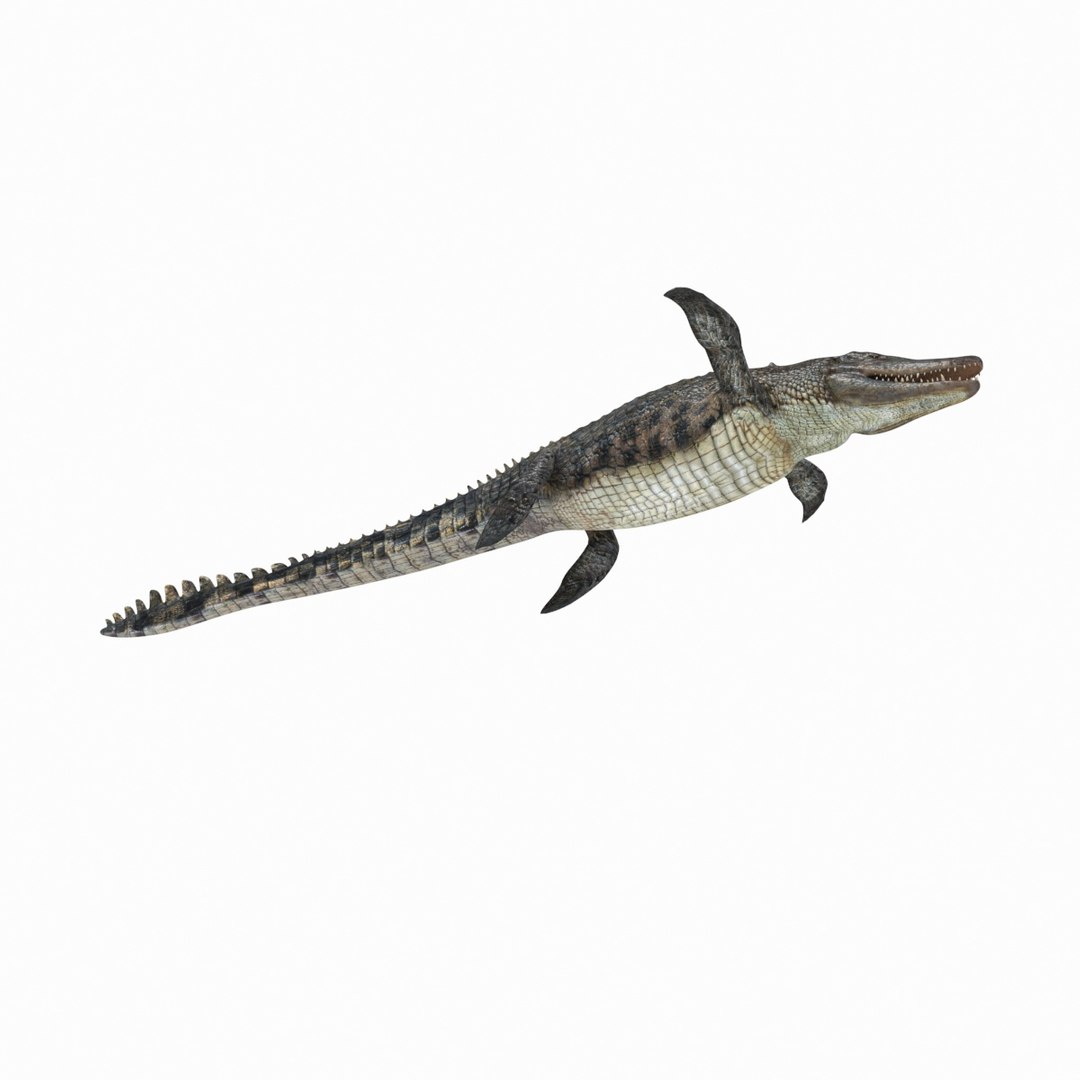 3D Mosasaurus Rex - 8K Animated - TurboSquid 2005790