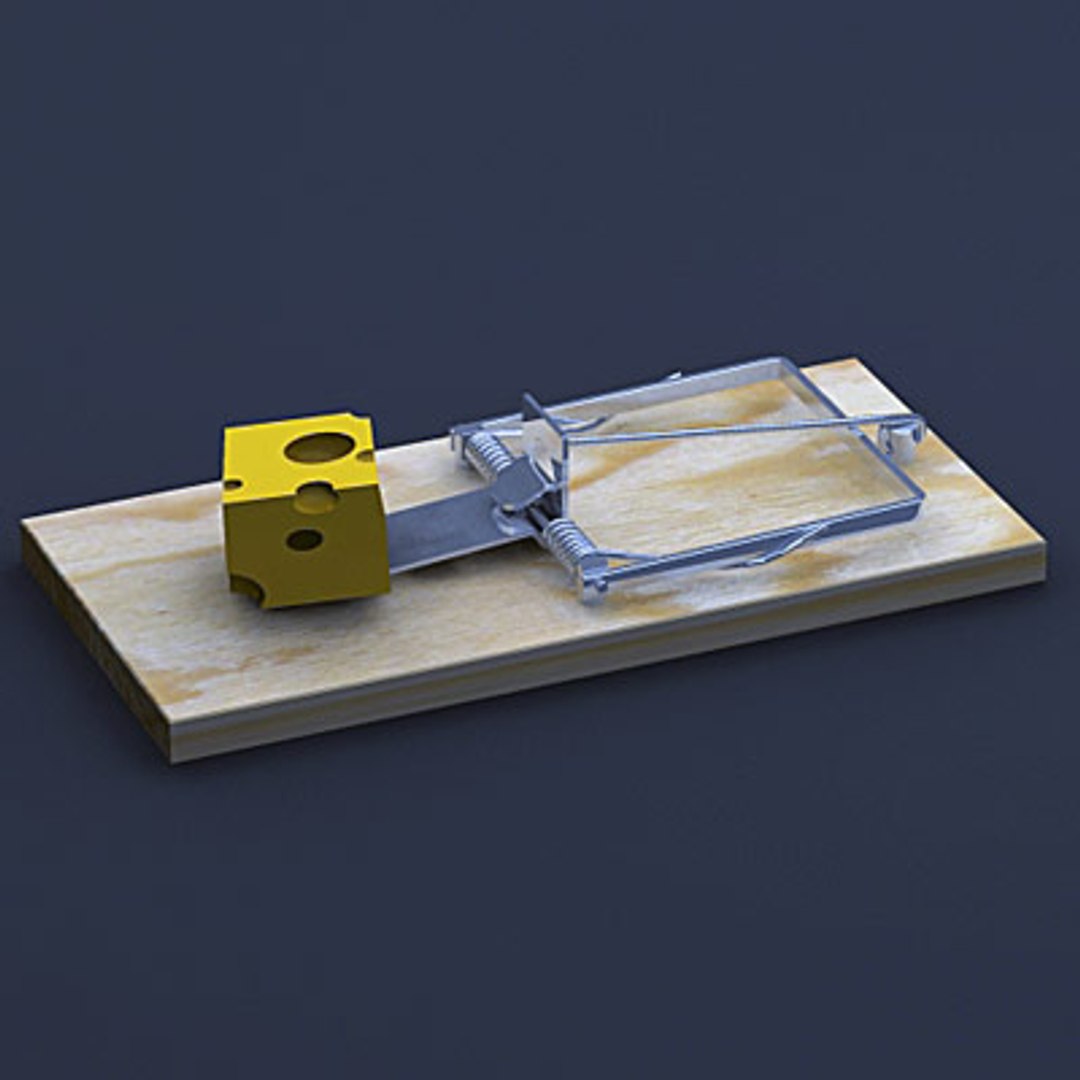3d mouse trap