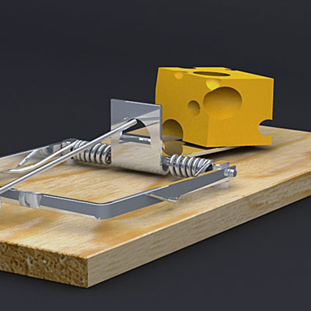 3d mouse trap