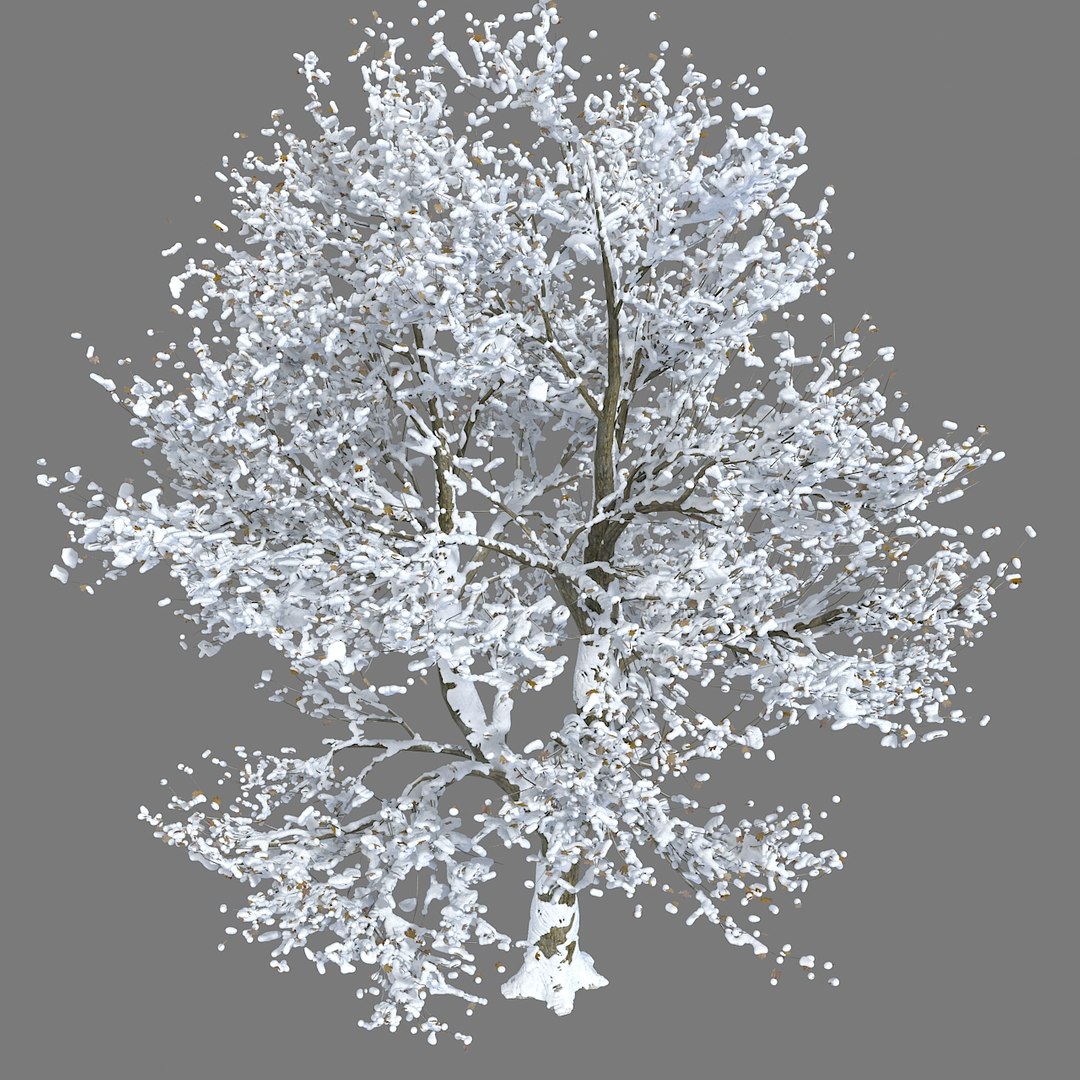 snow trees max