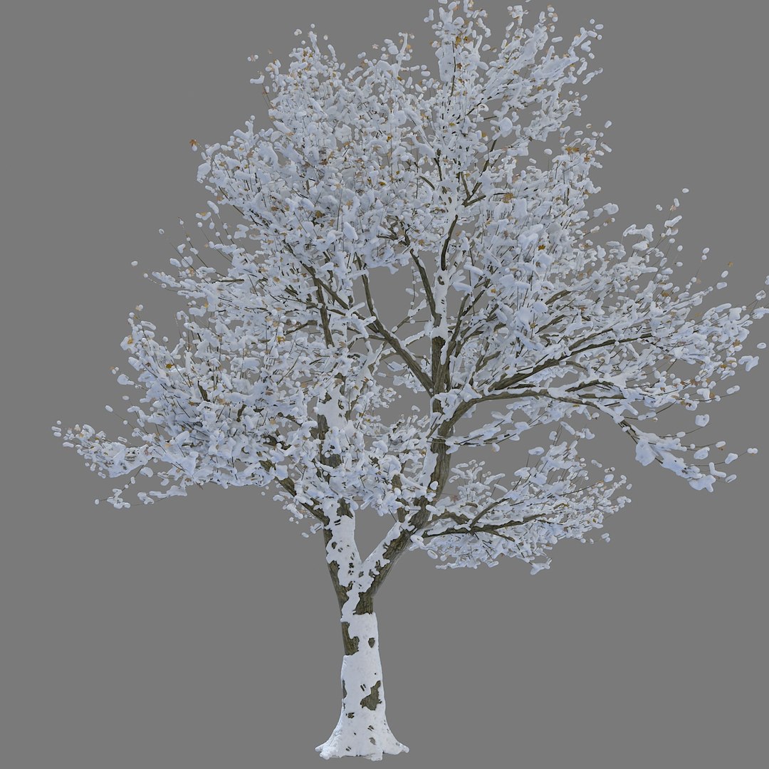 snow trees max
