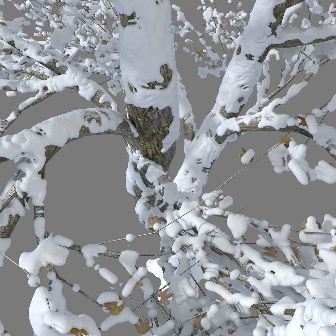 snow trees max