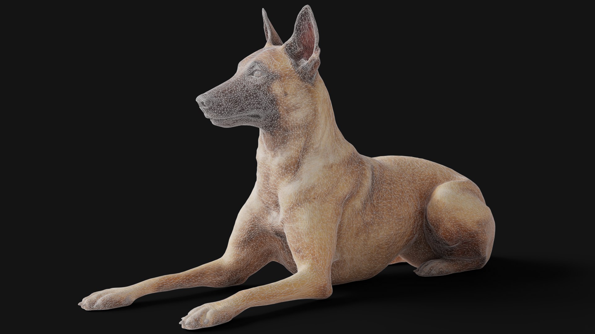 3D German Shepherd Dog - TurboSquid 1956713