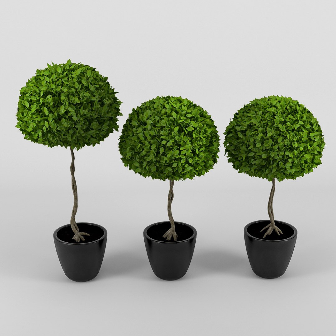 3d Model Tree Plant
