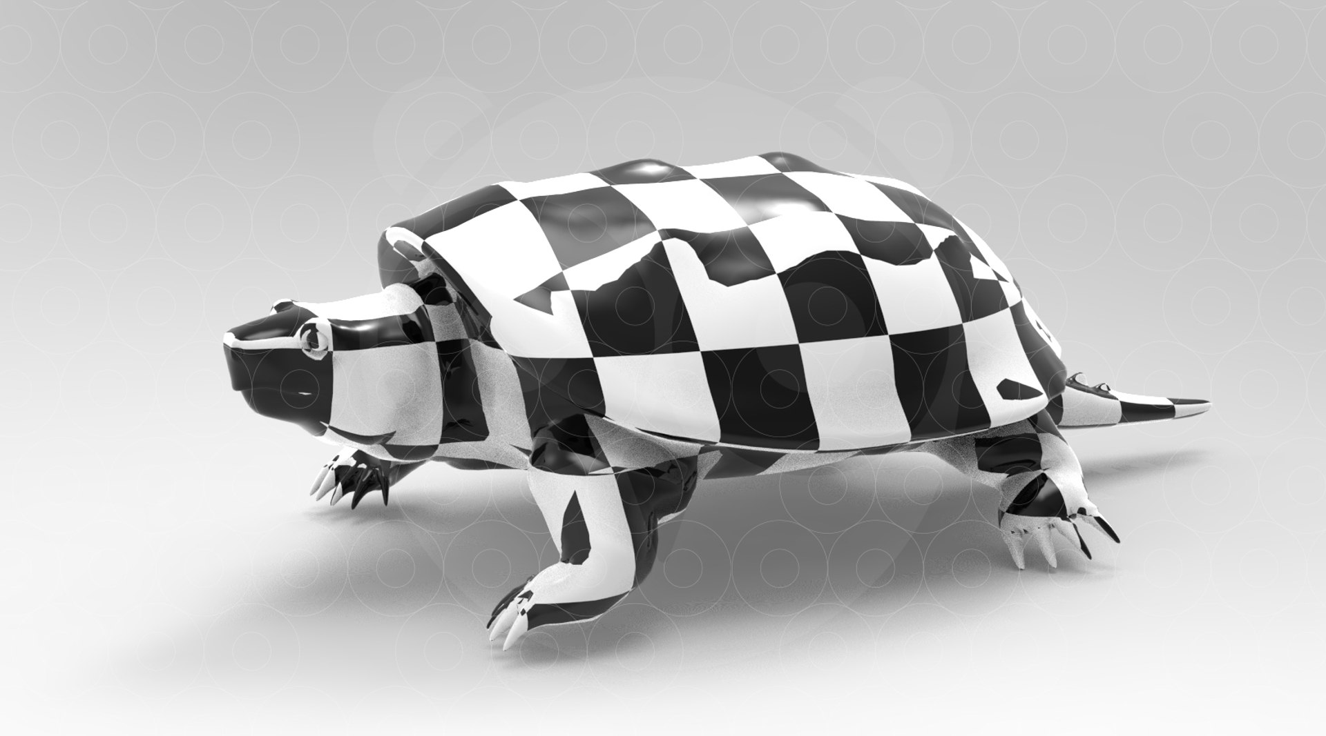 Turtle Model - TurboSquid 2110053