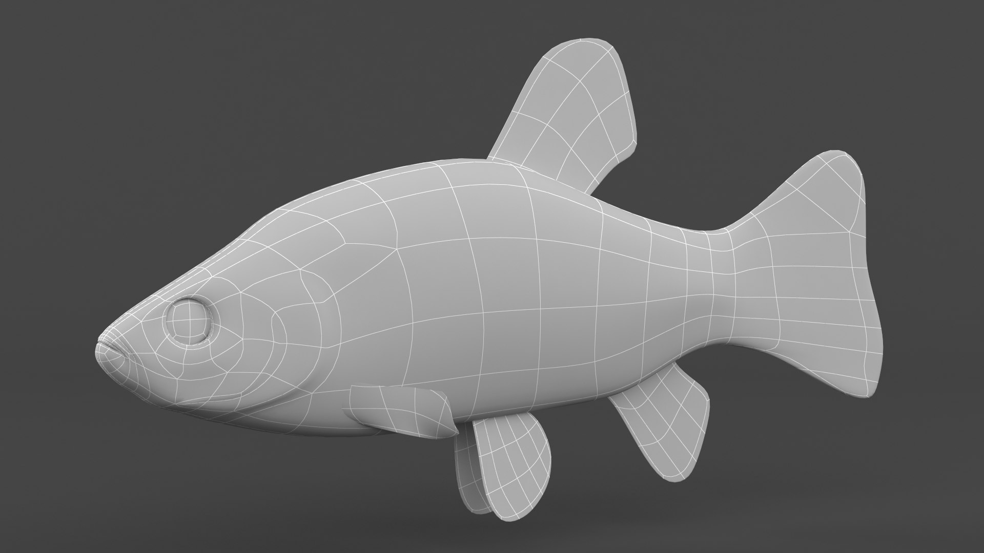 3D Tench Fish Model - TurboSquid 2040009