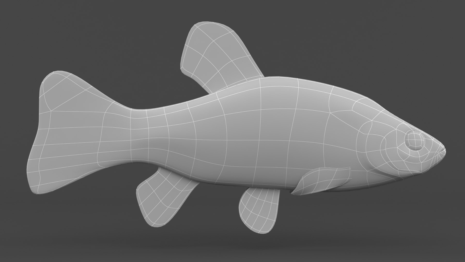 3D Tench Fish Model - TurboSquid 2040009