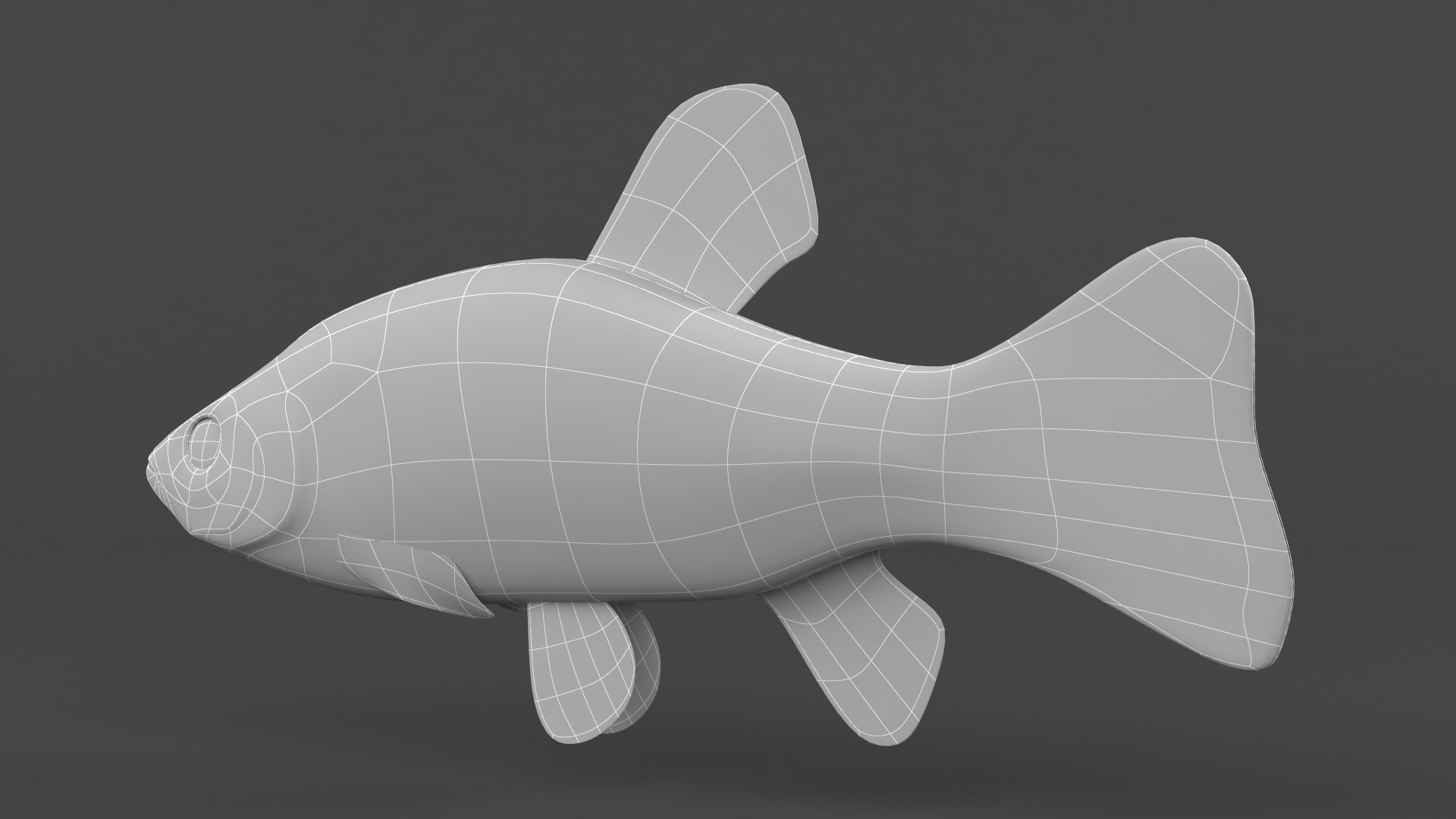 3D Tench Fish Model - TurboSquid 2040009
