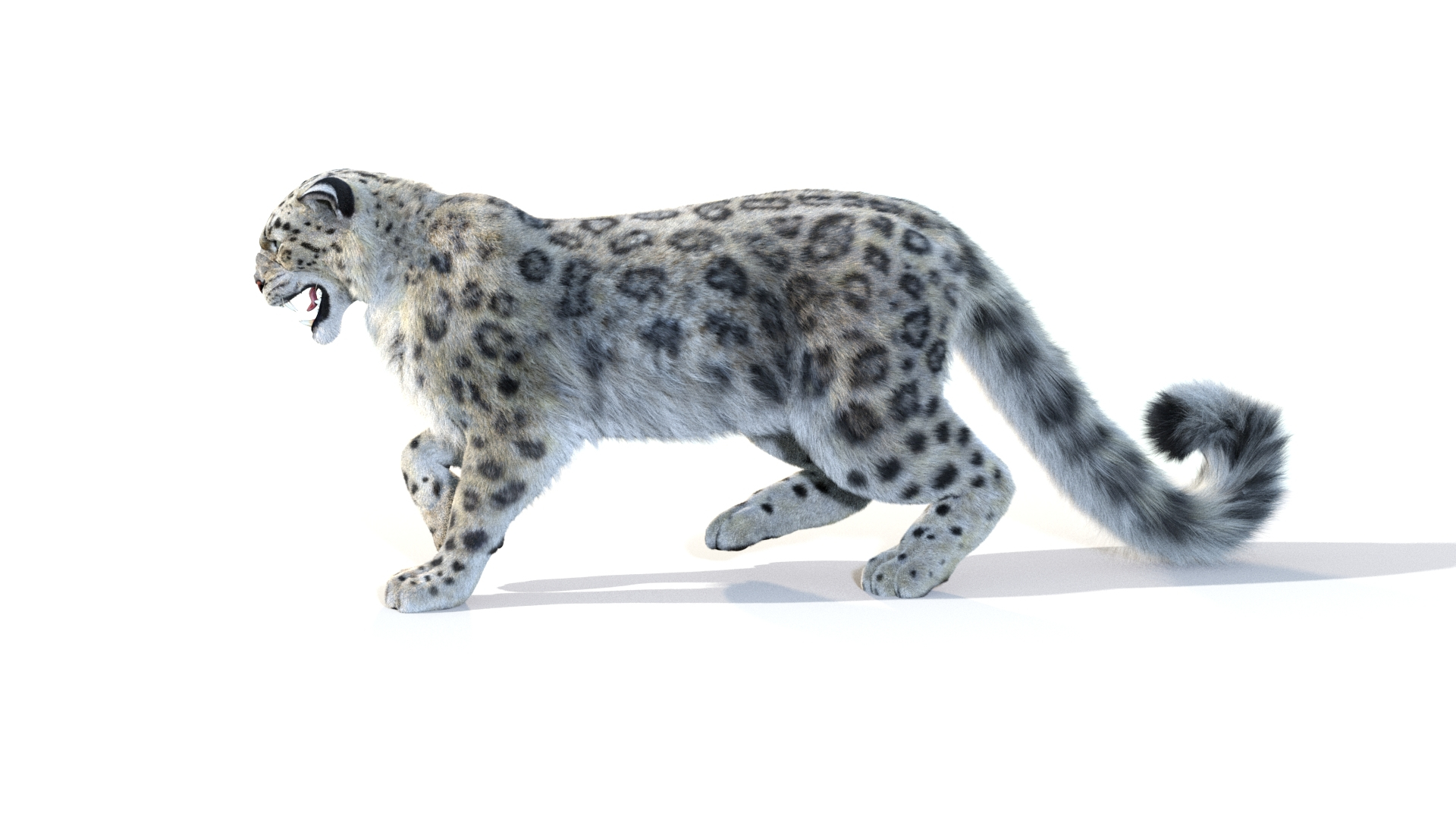 Realistic Cartoon Animals Snow Leopards
