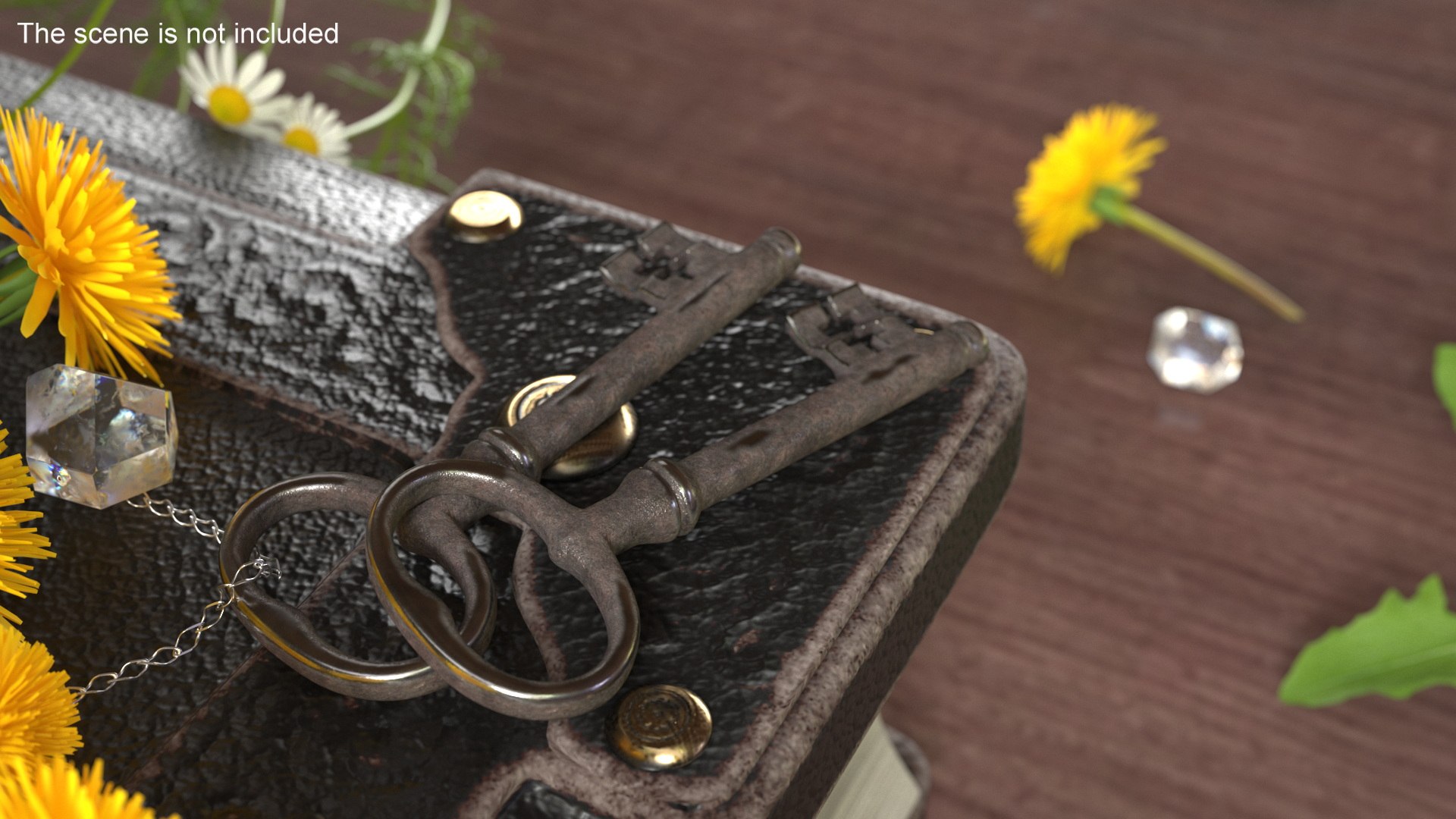 Classic Skeleton Key Steel 3D Model - TurboSquid 2246292