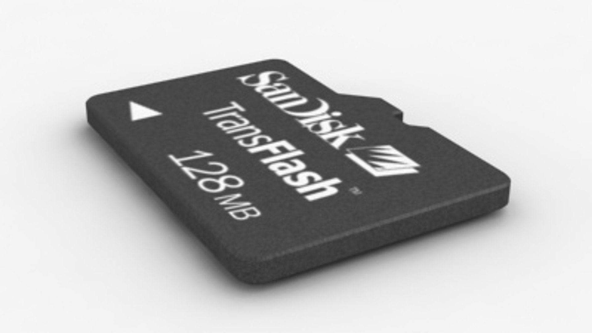 data storage card 3d max
