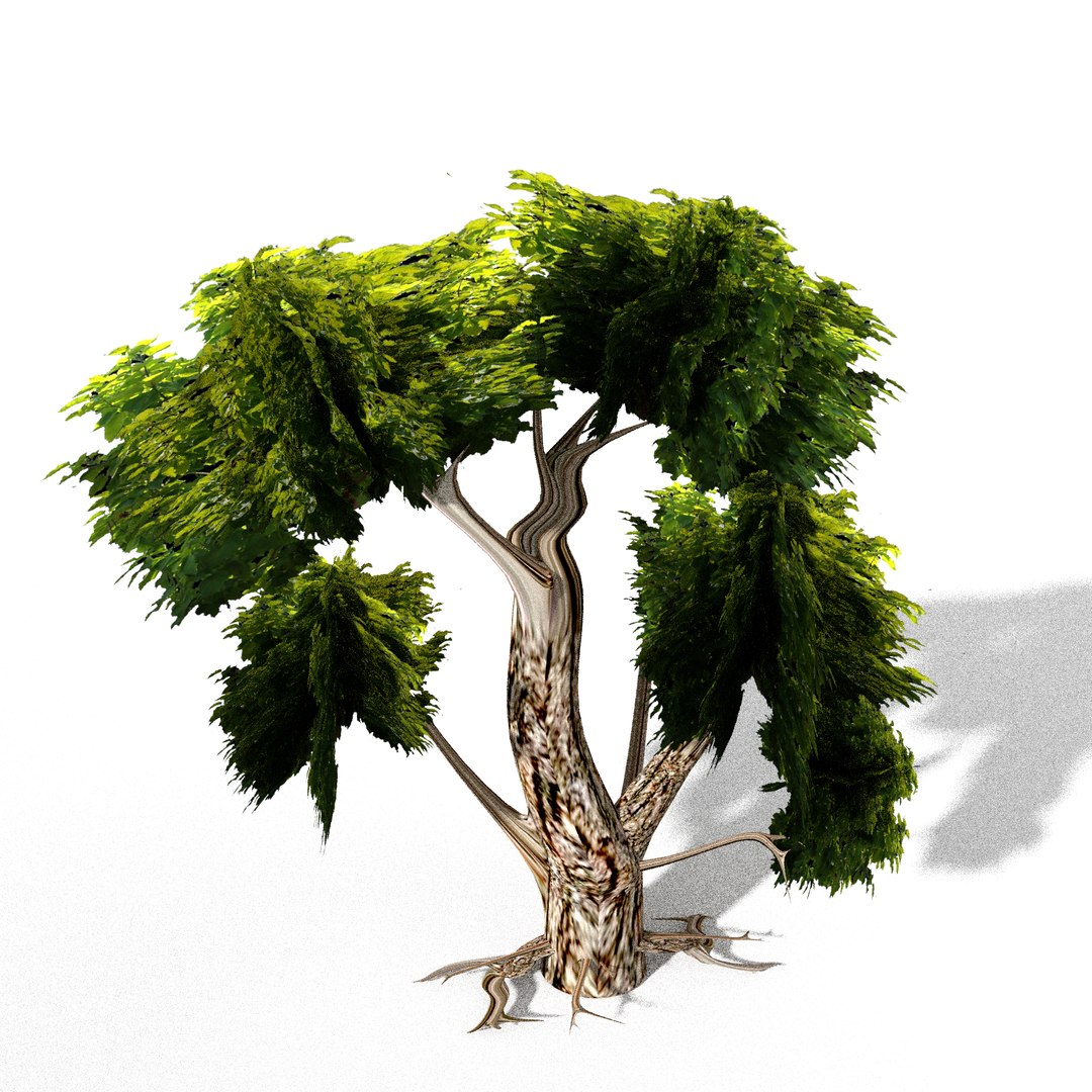 Animated large tree model - TurboSquid 1819953