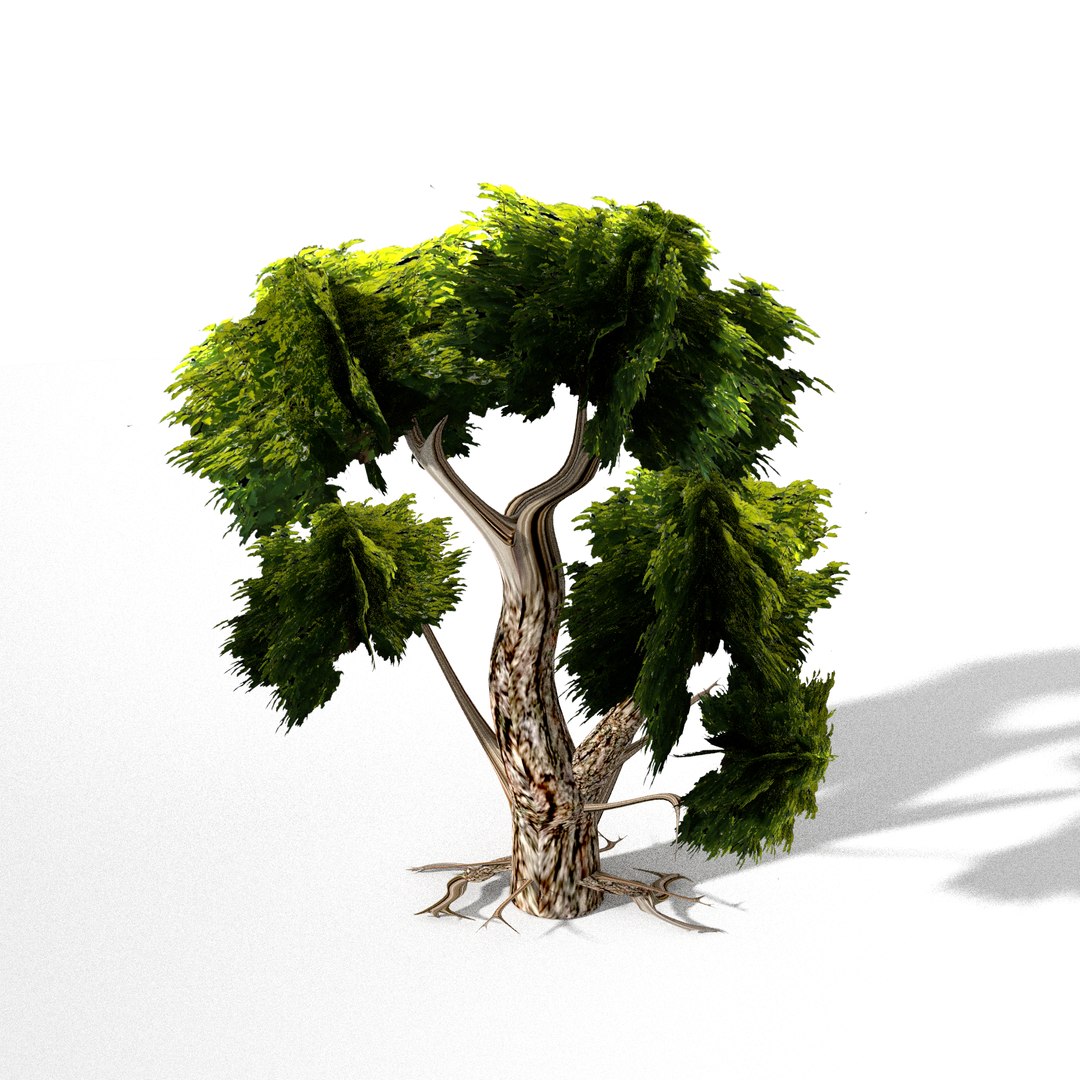 Animated large tree model - TurboSquid 1819953