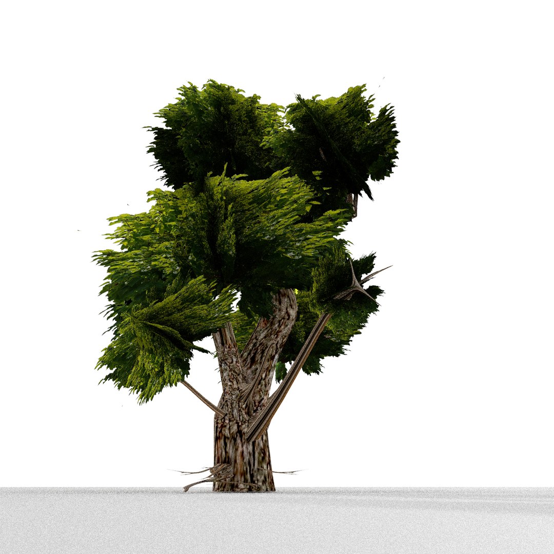 Animated large tree model - TurboSquid 1819953