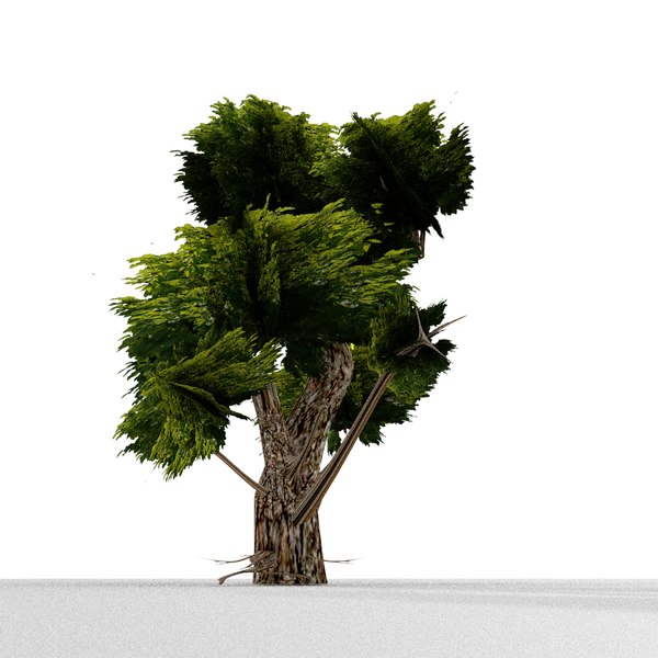 Animated large tree model - TurboSquid 1819953