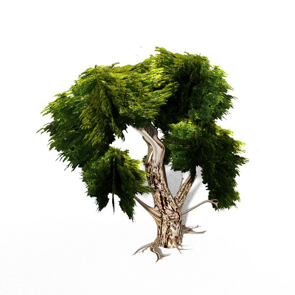 Animated large tree model - TurboSquid 1819953