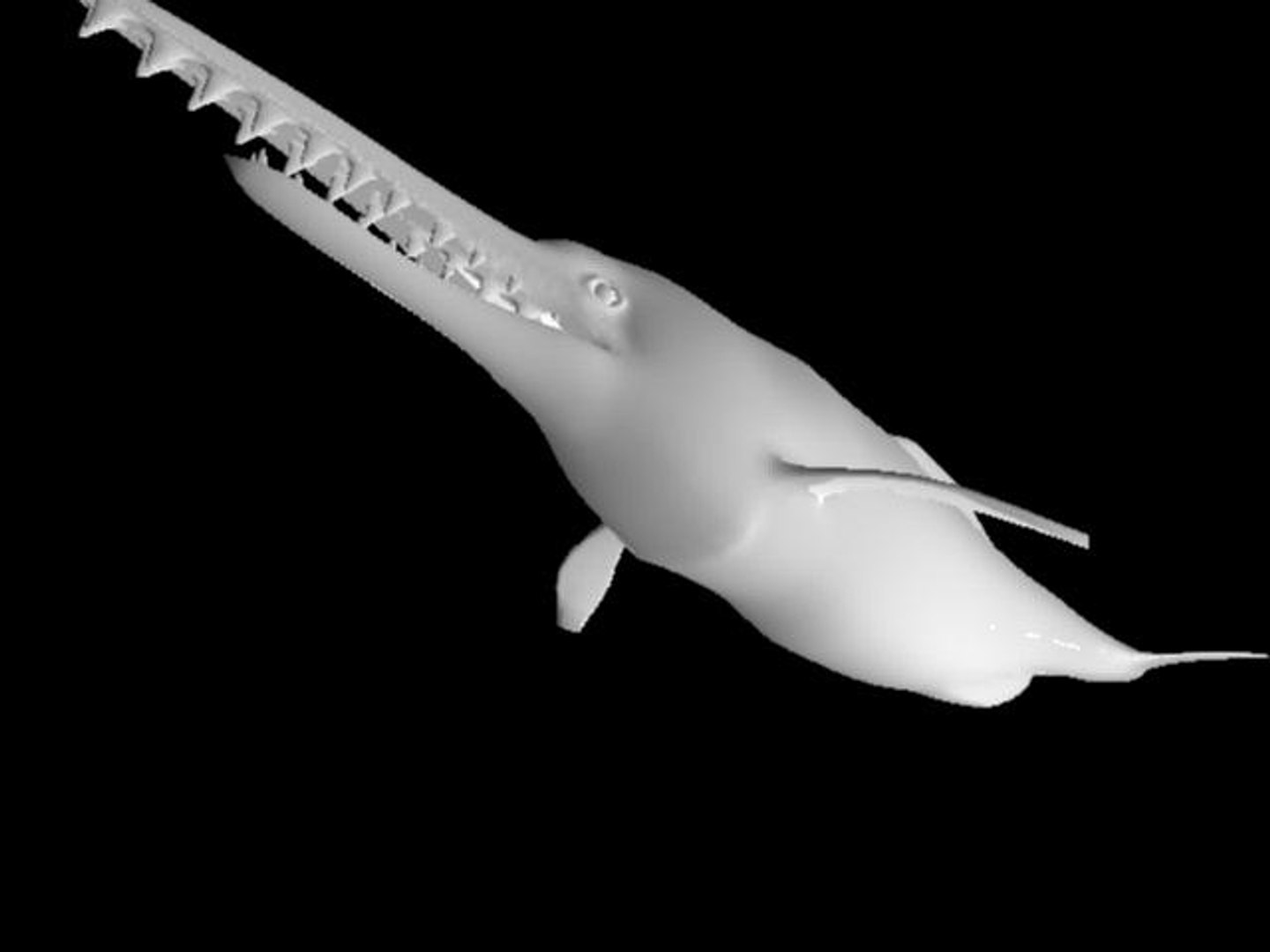 eurhinodelphi dolphin prehistoric 3d model