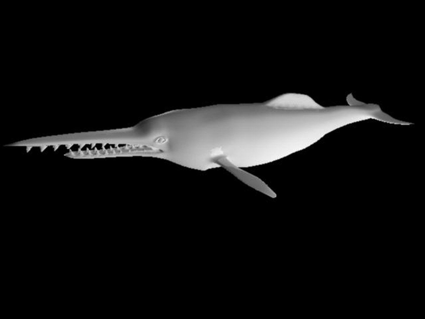 eurhinodelphi dolphin prehistoric 3d model
