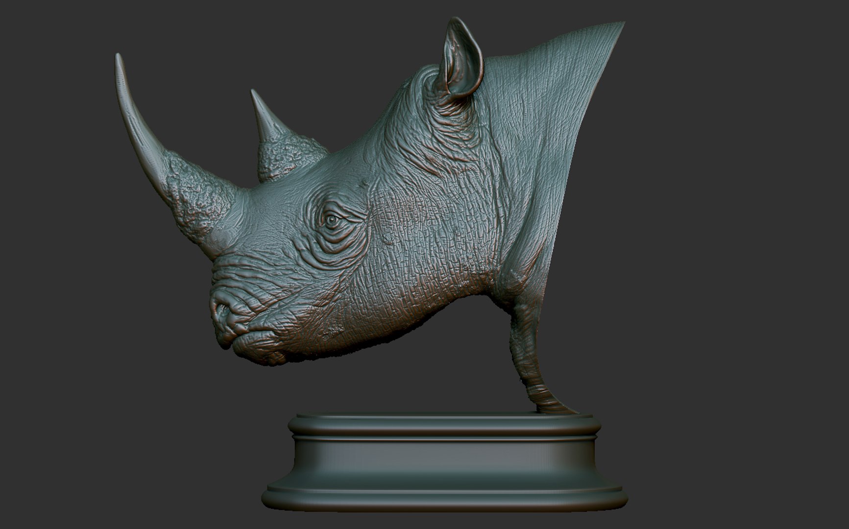 3D Rhinoceros Model - TurboSquid 1963108