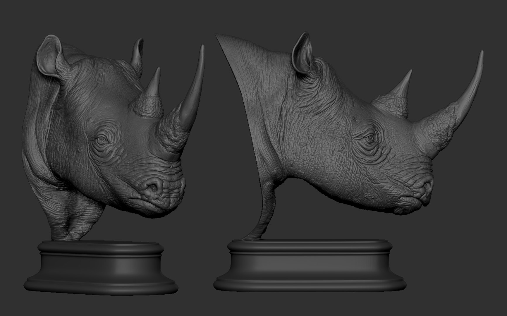 3D Rhinoceros Model - TurboSquid 1963108
