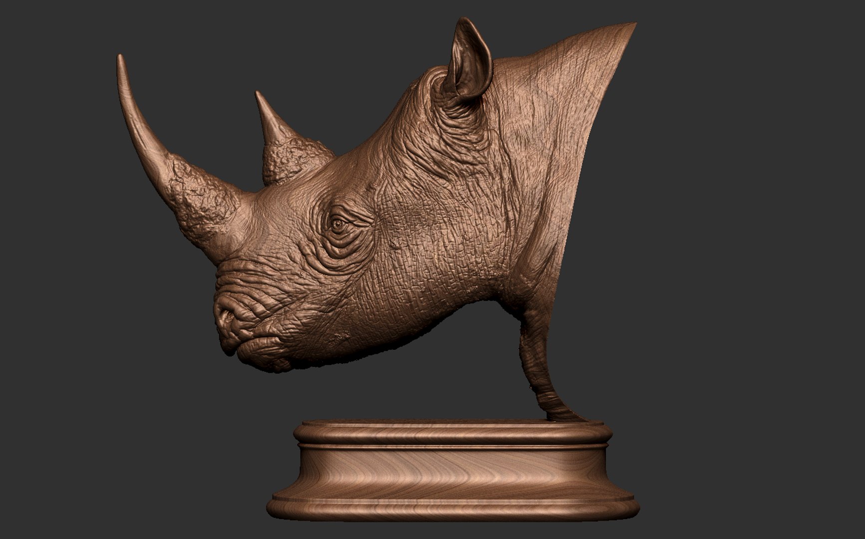 3D Rhinoceros Model - TurboSquid 1963108