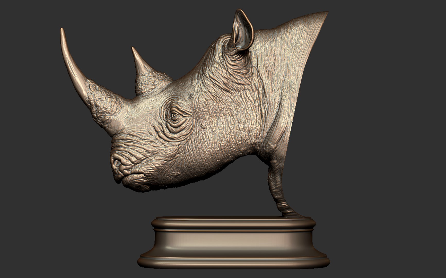 3D Rhinoceros Model - TurboSquid 1963108