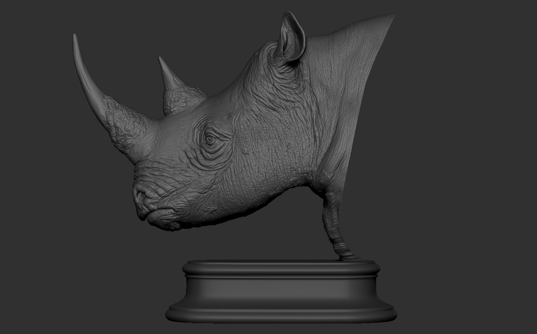 3D Rhinoceros Model - TurboSquid 1963108