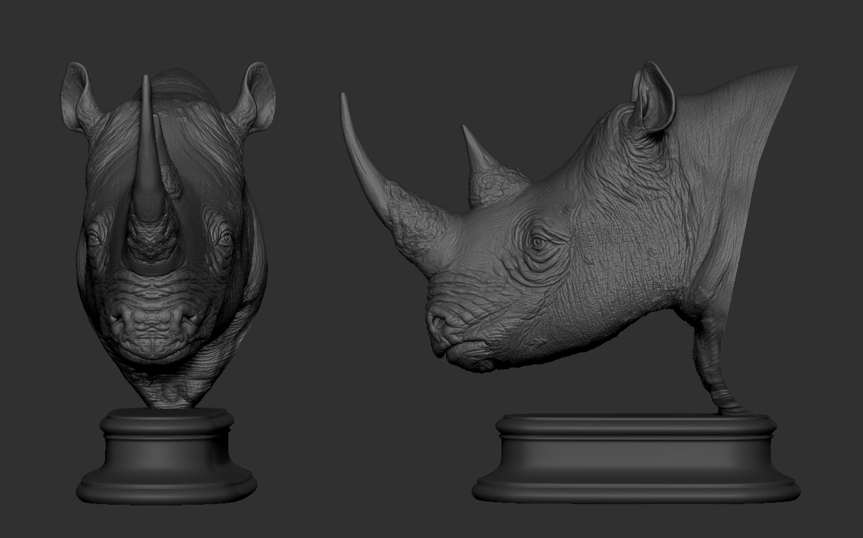 3D Rhinoceros Model - TurboSquid 1963108