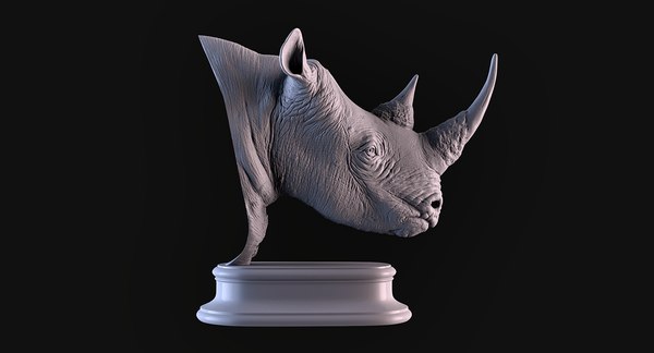 3D Rhinoceros model - TurboSquid 1963108