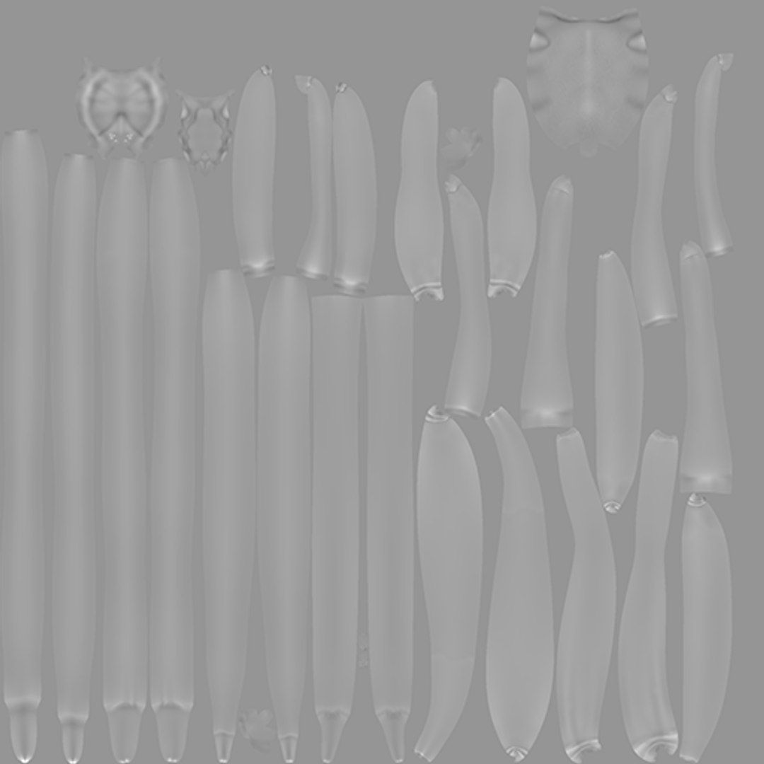 3D model Daddy Long Legs - TurboSquid 2181160