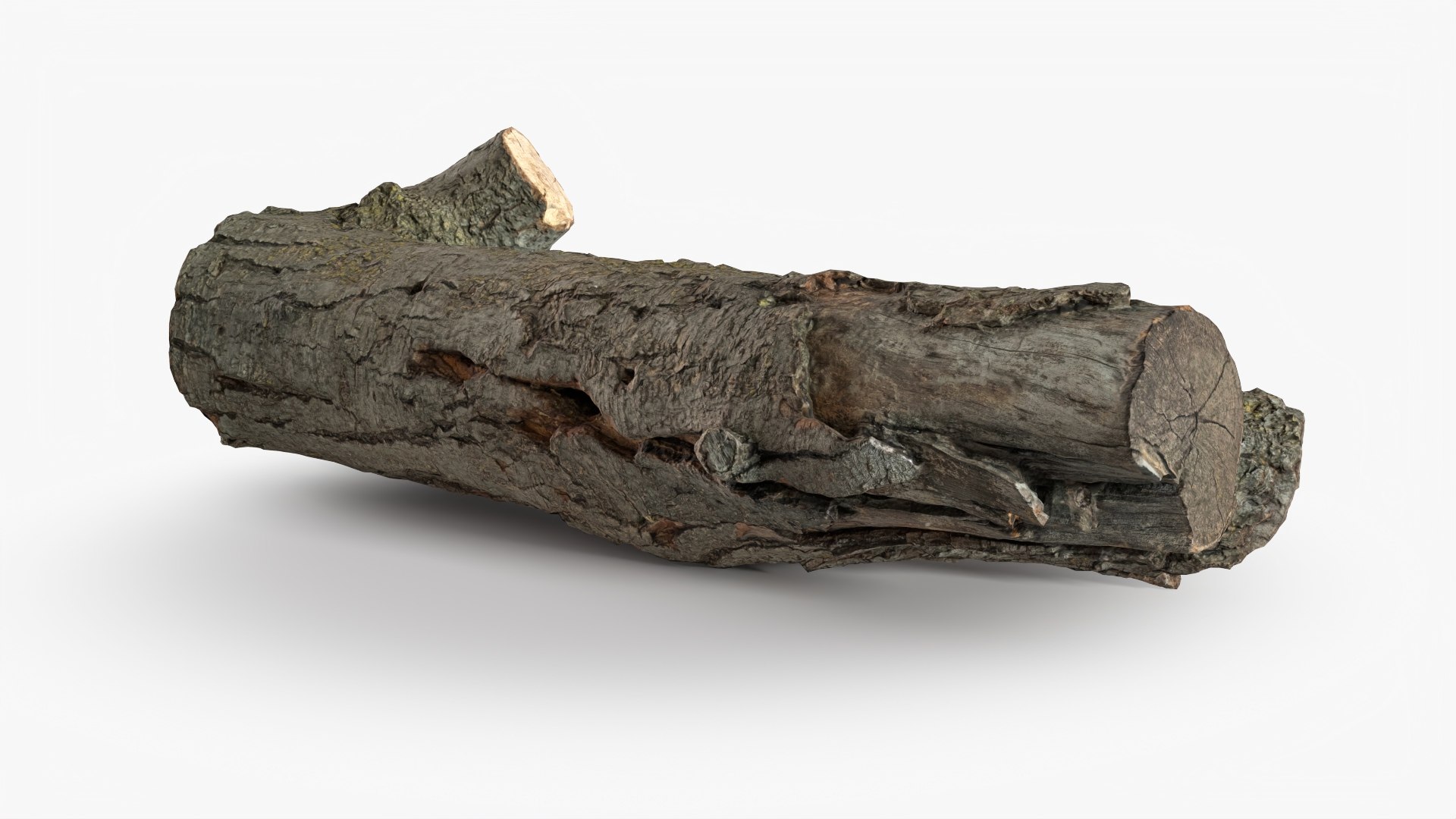 3D Tree Bark Scanned 8 StemCell Model - TurboSquid 2280905