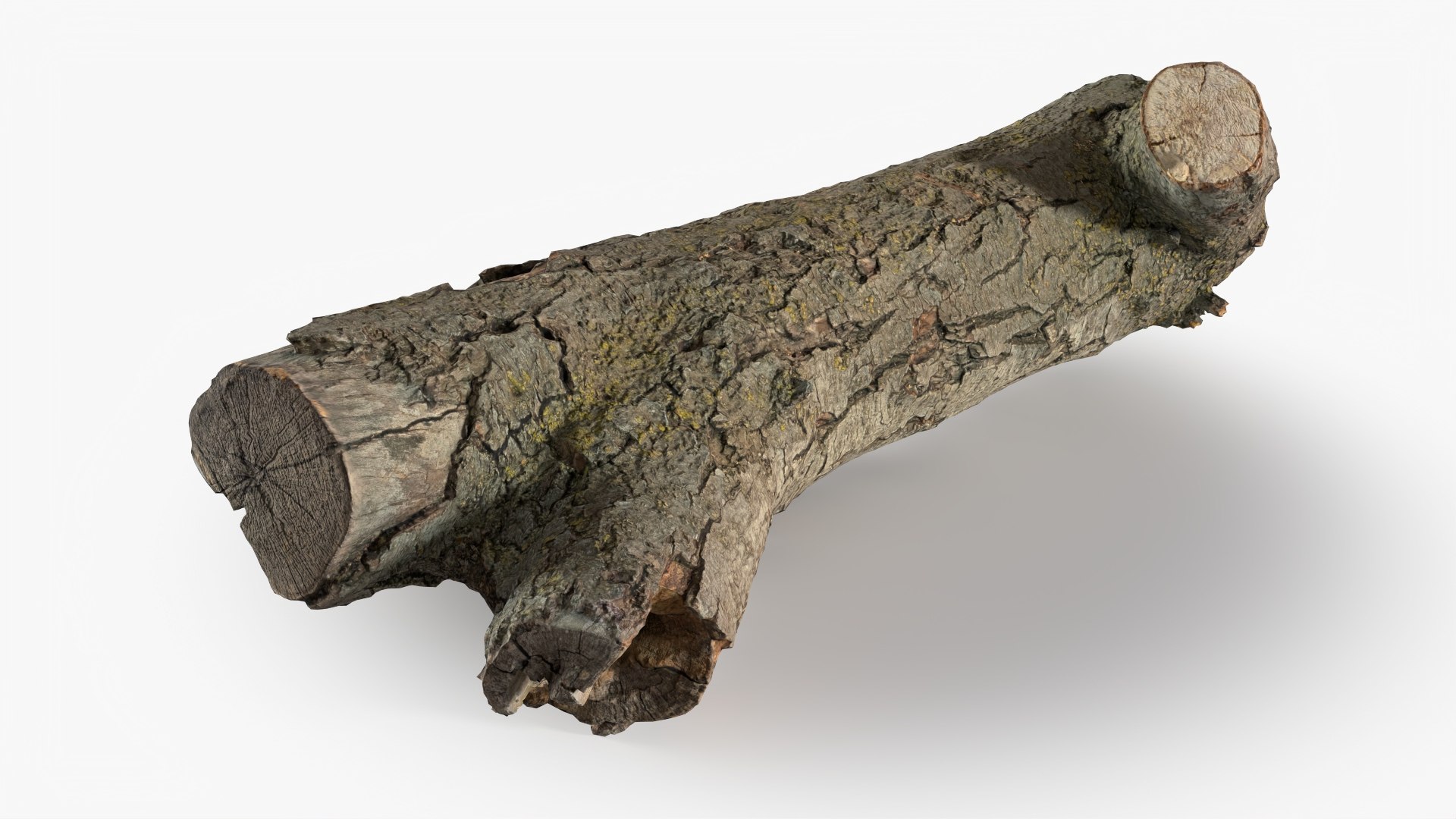 3D Tree Bark Scanned 8 StemCell Model - TurboSquid 2280905