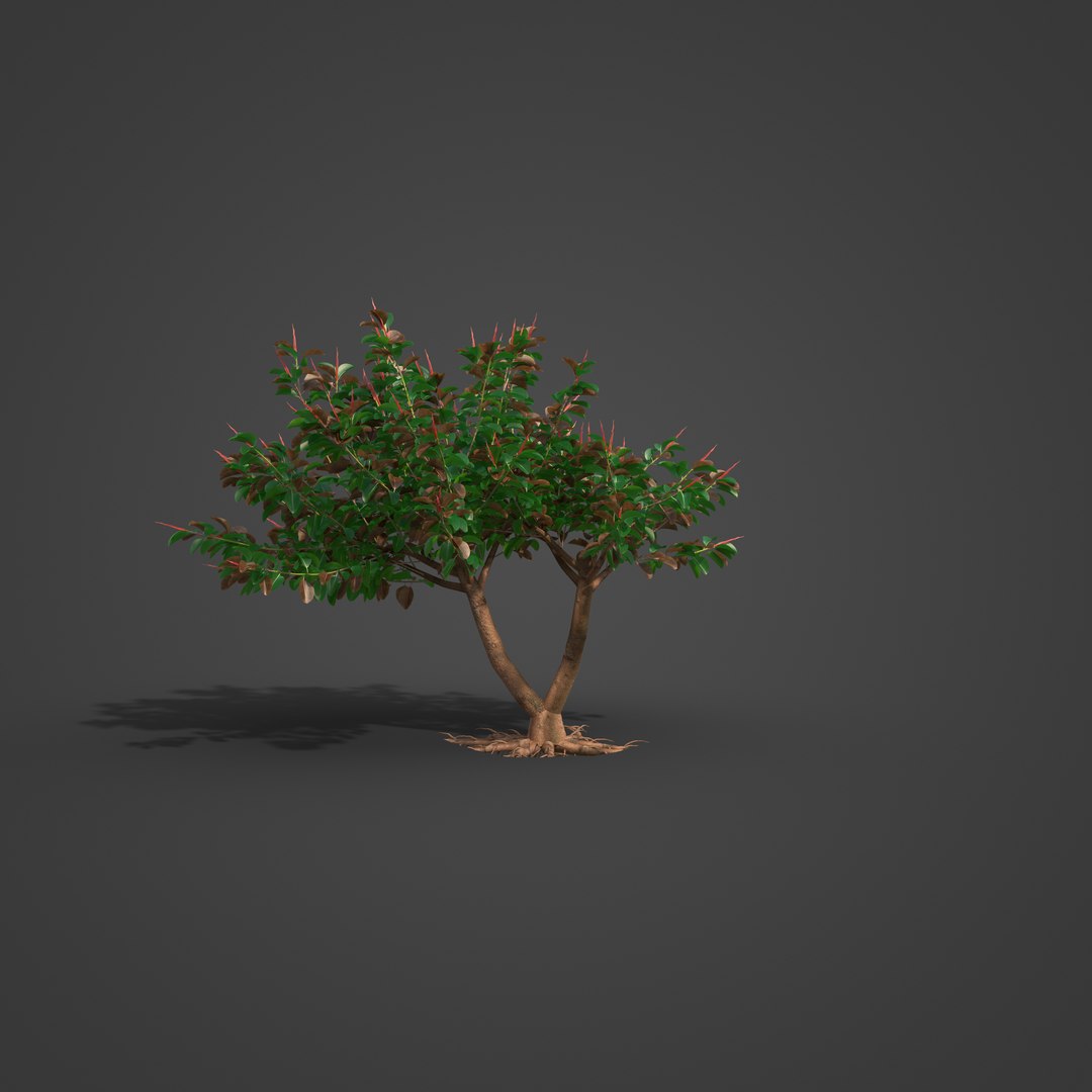 2021 PBR Rubber Tree Collection - Ficus Elastica 3D Model - TurboSquid ...