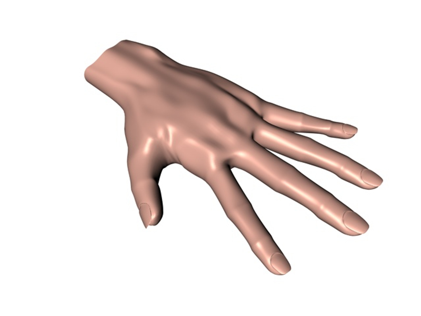 hand c4d free