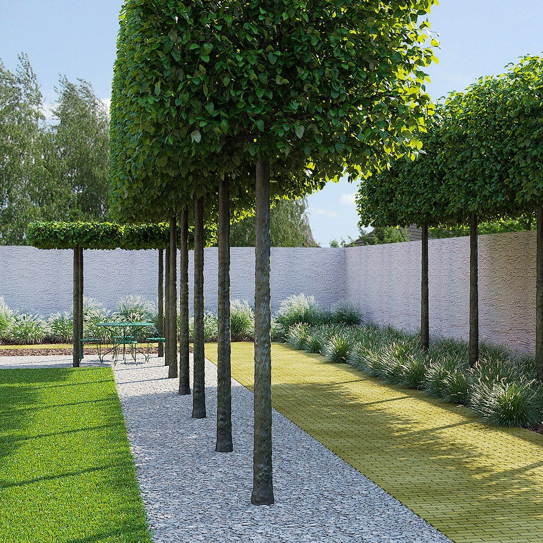 3D Model Fagus Sylvatica Topiary - TurboSquid 2091509