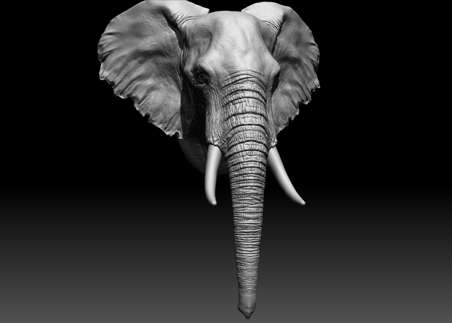 3D Model Elephant Head - TurboSquid 1285471