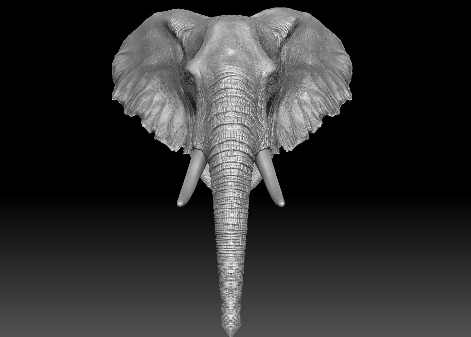 3D Model Elephant Head - TurboSquid 1285471