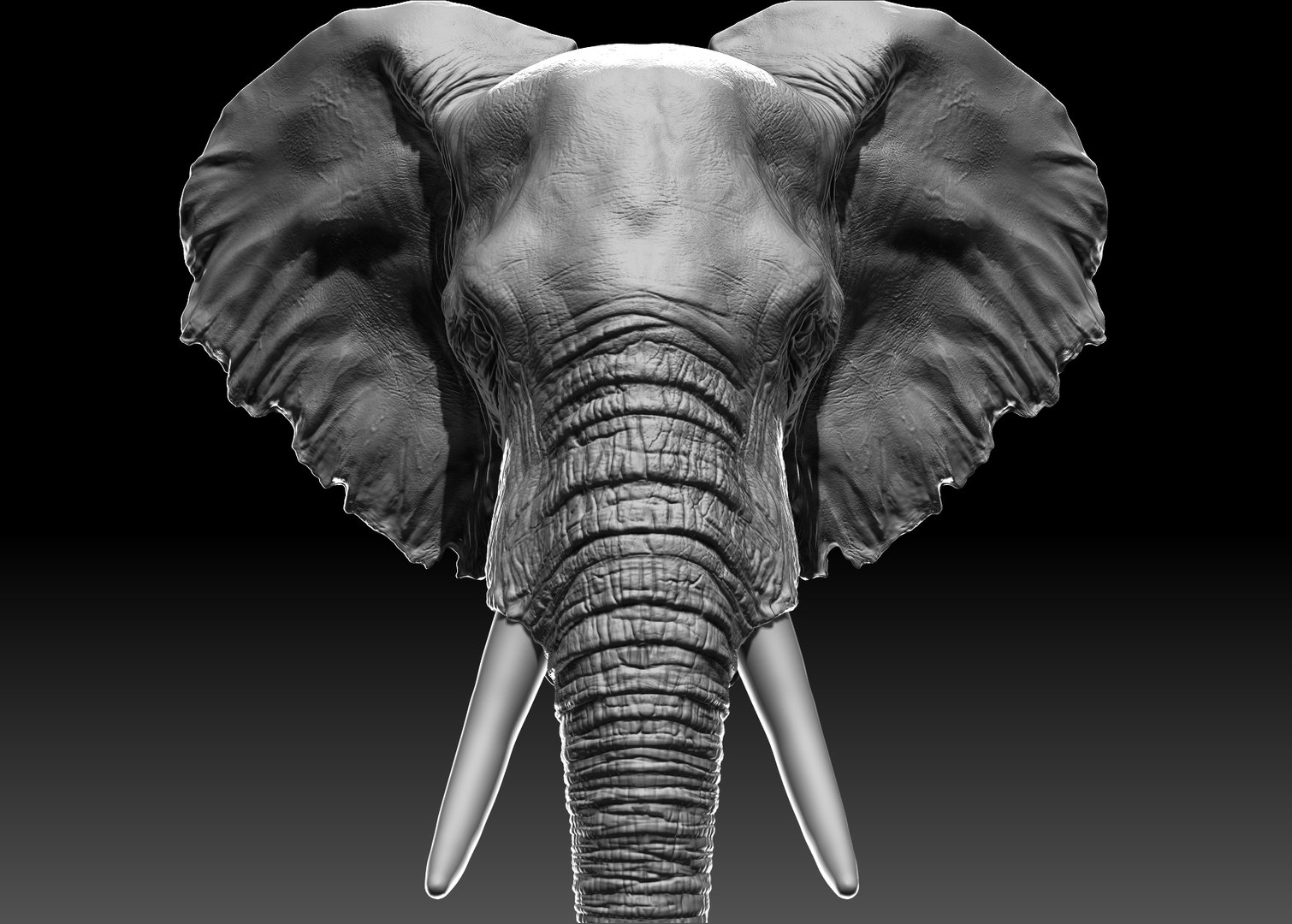3D Model Elephant Head - TurboSquid 1285471