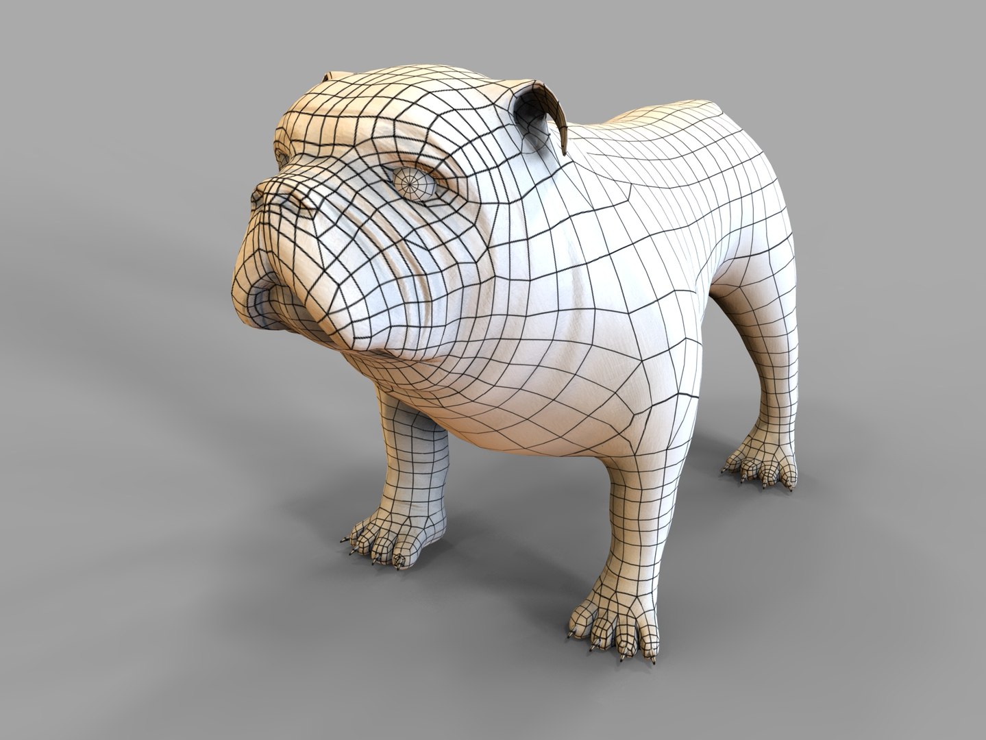 Bulldog Rigged 3d Obj